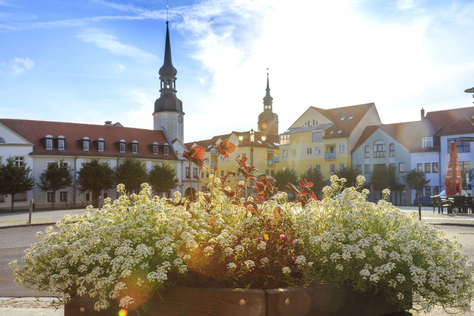 Stadt Spremberg startet Förderaufruf 2020 GemeinSchafft Lebensraum ...